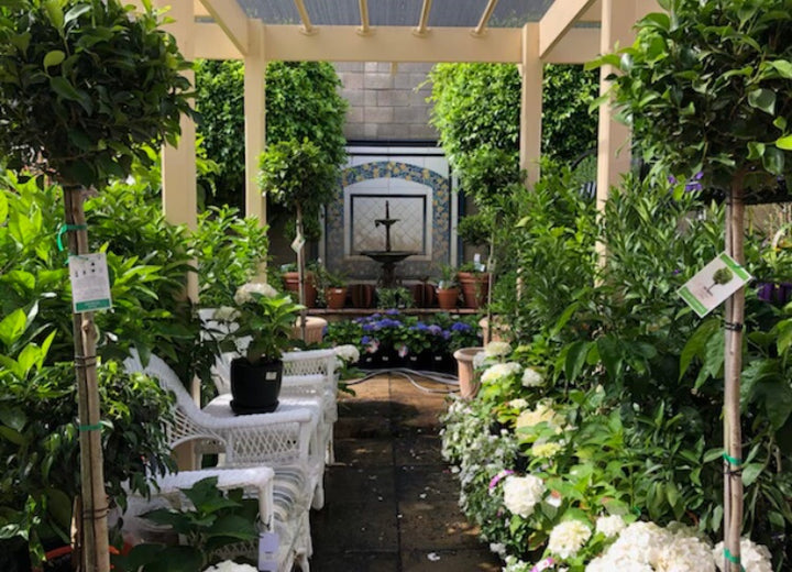 The Conservatory Garden and Home